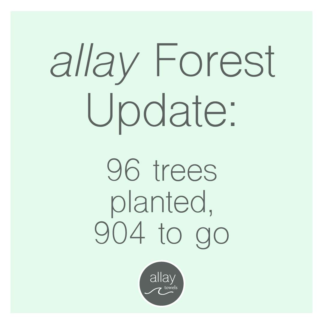 Where Do We Plant Our Trees? – FOLC.collective